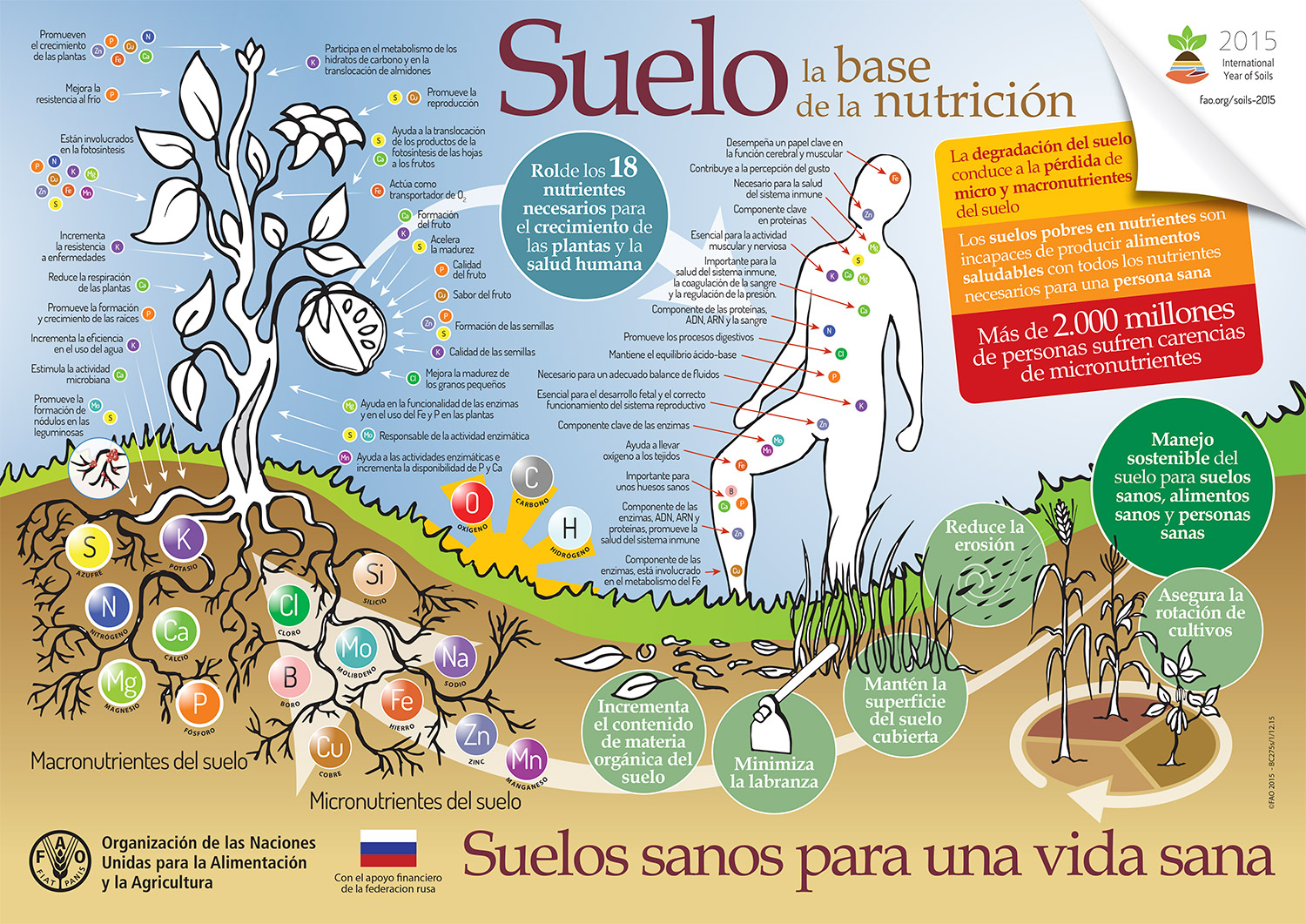 buscar agua subterranea - dia mundial suelo 2022 - Buscar Agua Subterranea